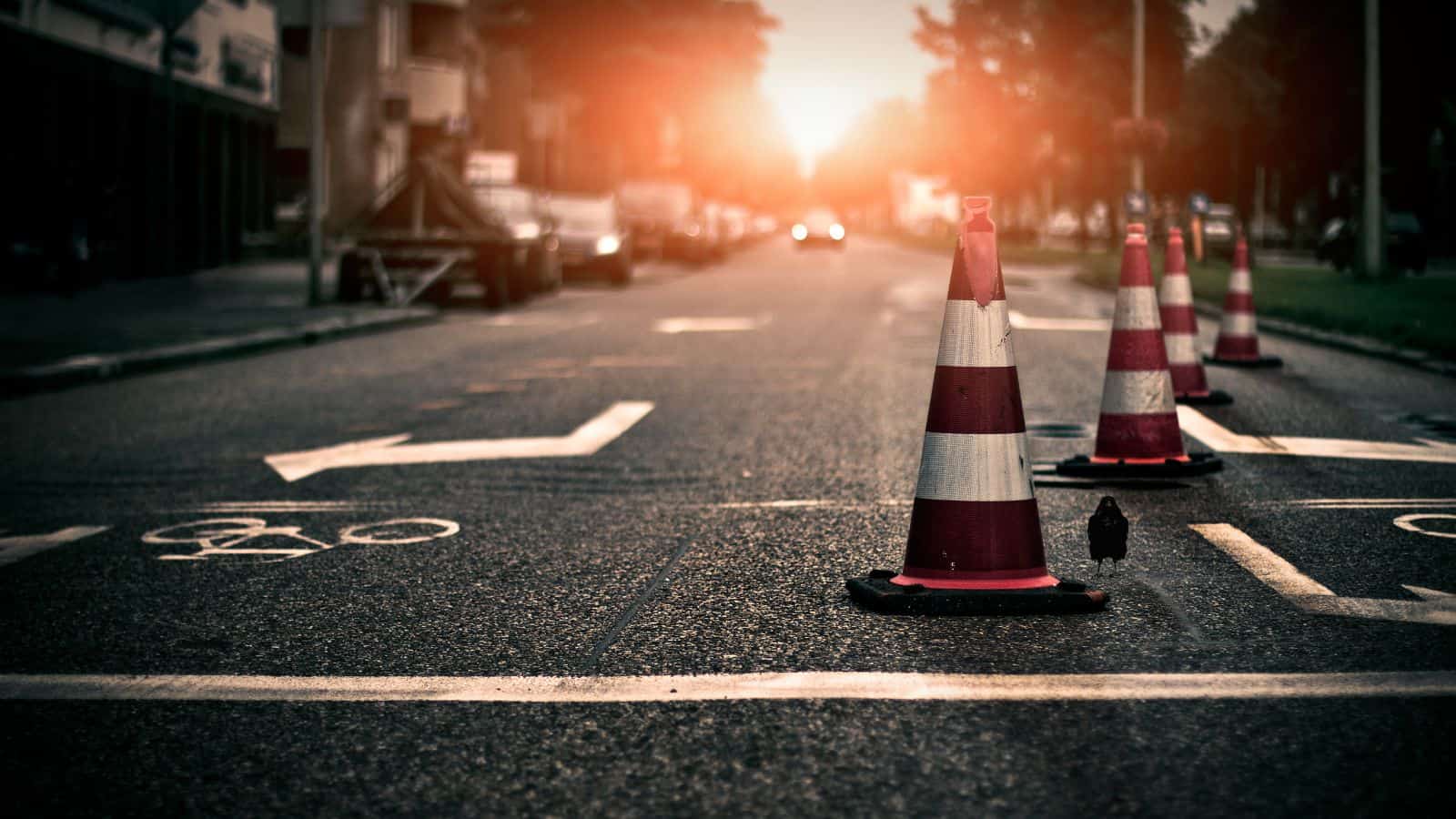 Monigle in the news: Life Annuity Specialist - Monigle