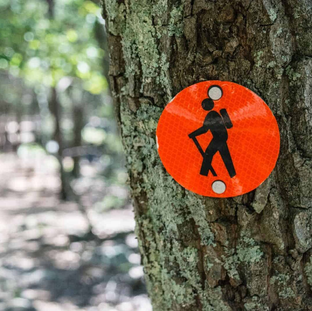 Signage series: Part 1 – Discovery Phase - Monigle